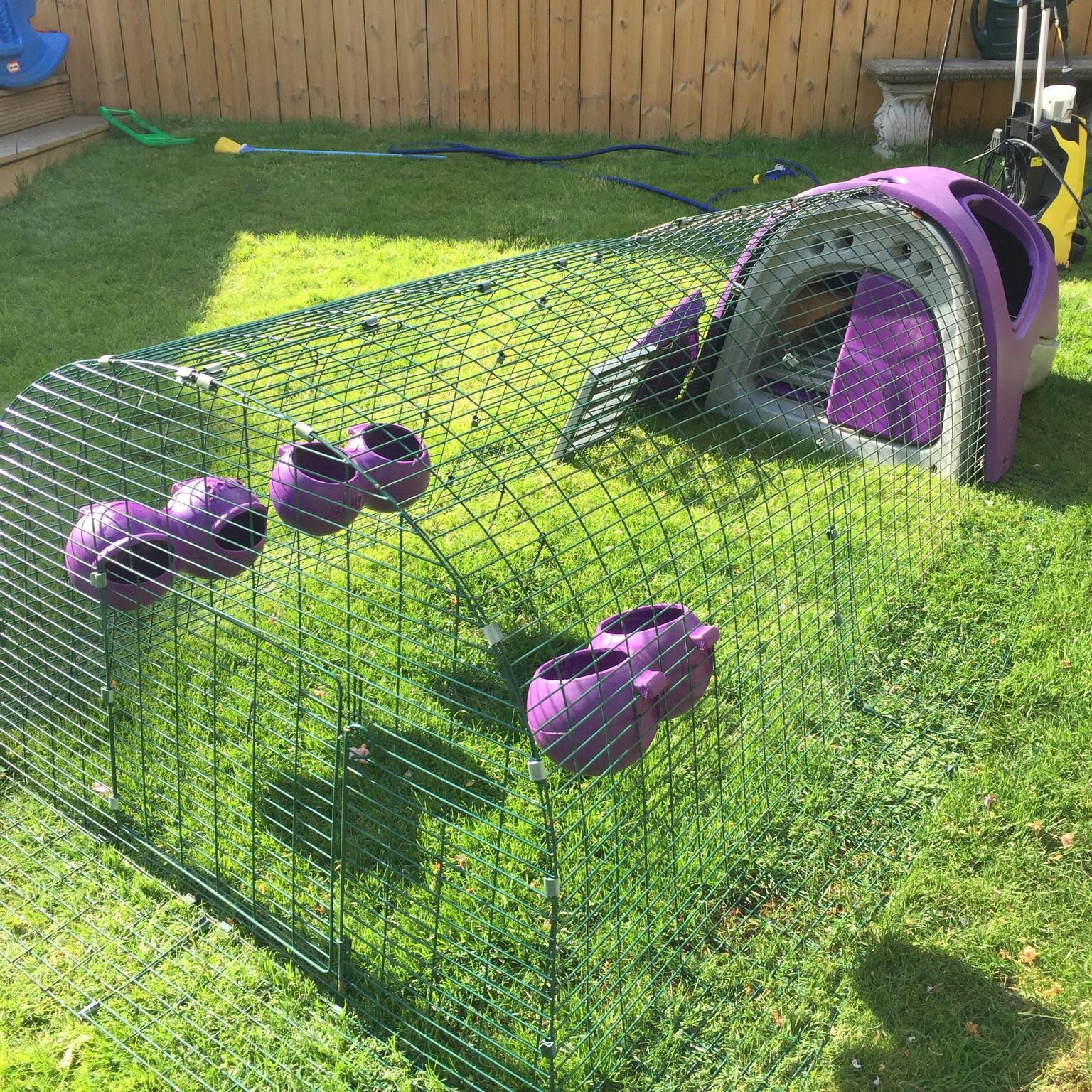Omlet Eglu Chicken Run Purple in CR8 London for £220.00 for sale | Shpock