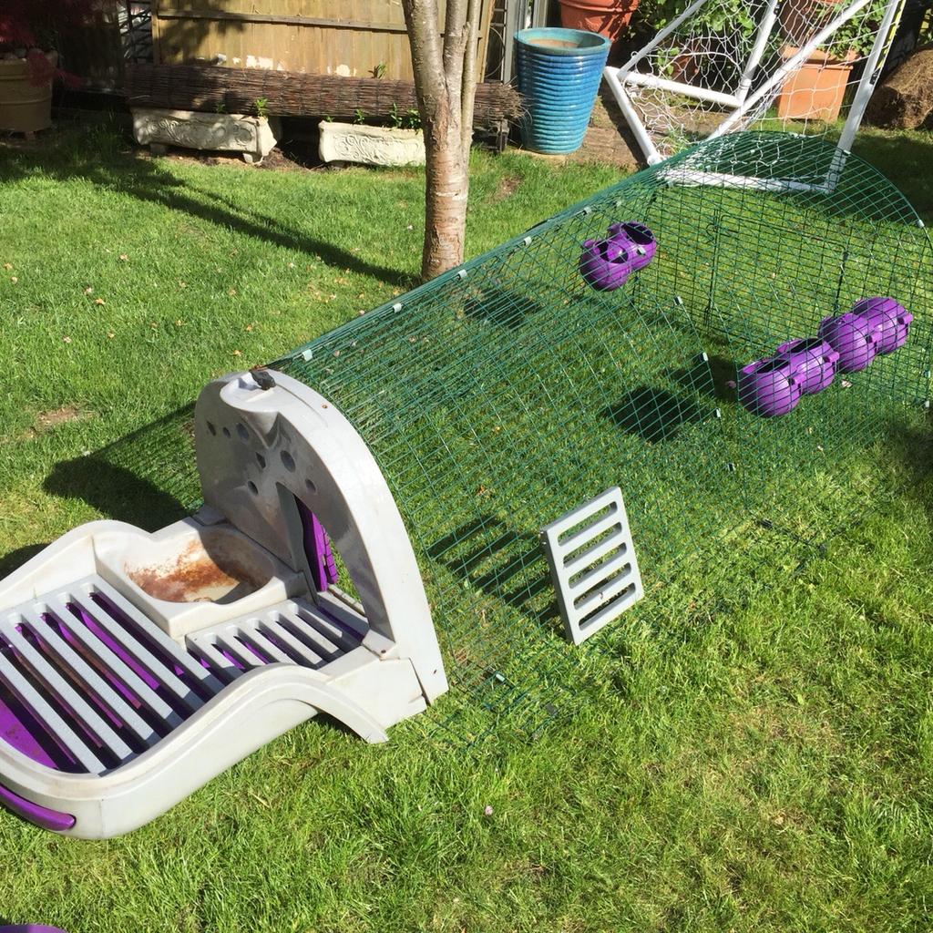 Omlet Eglu Chicken Run Purple in CR8 London for £220.00 for sale | Shpock