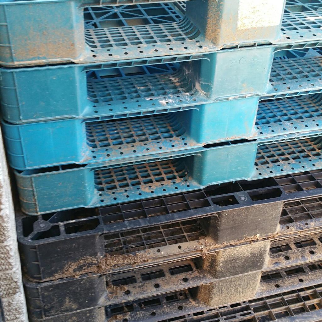 Free plastic pallets in SS14 Basildon for free for sale | Shpock