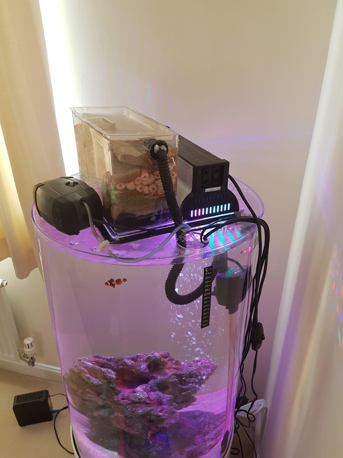 Cylinder fish tank in Doncaster for £250.00 for sale | Shpock