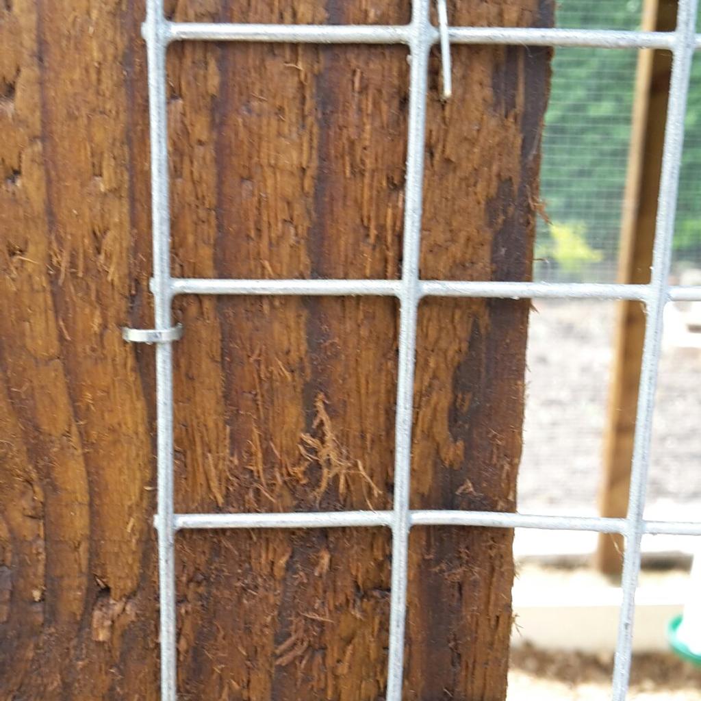 10 metres of Fox proof welded mesh in WR3 Worcester für £ 25,00 zum ...