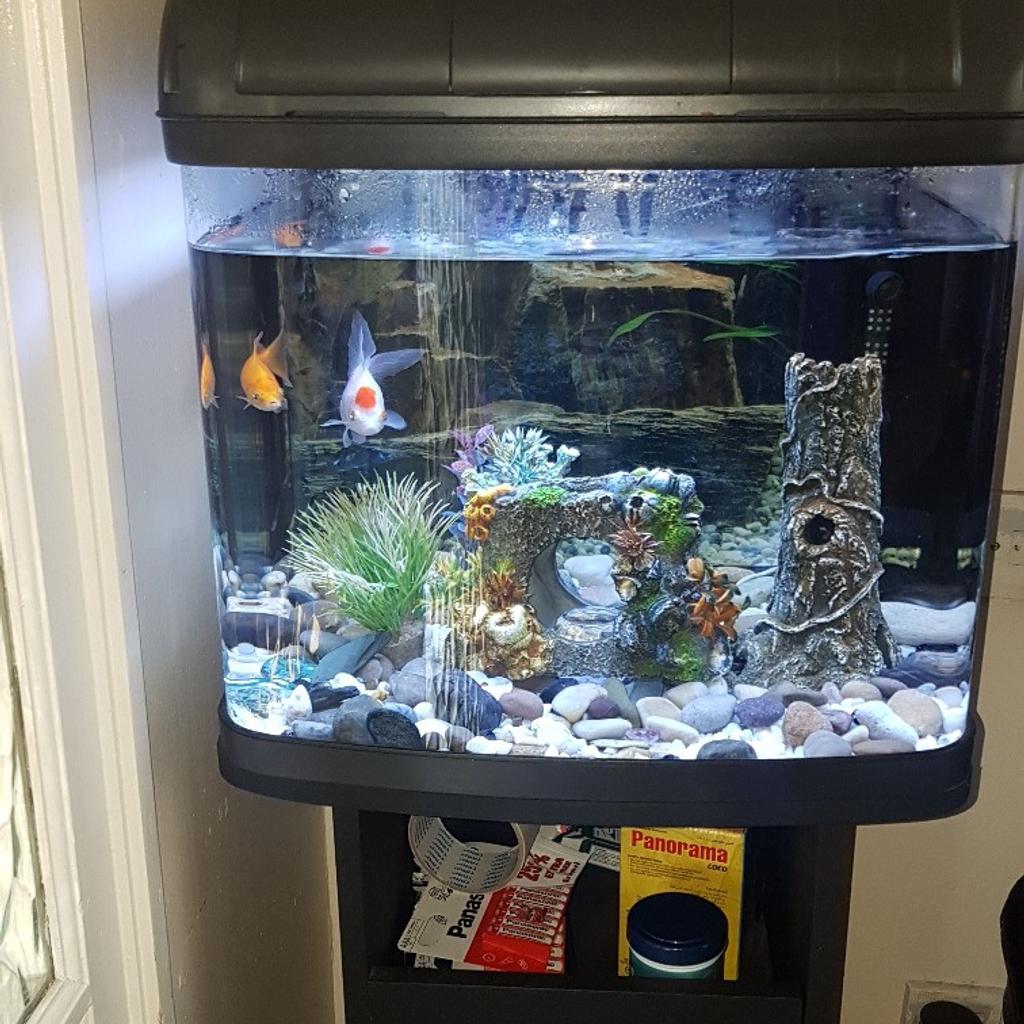 Fish tank for sale in BD3 Bradford für £ 60,00 zum Verkauf | Shpock AT