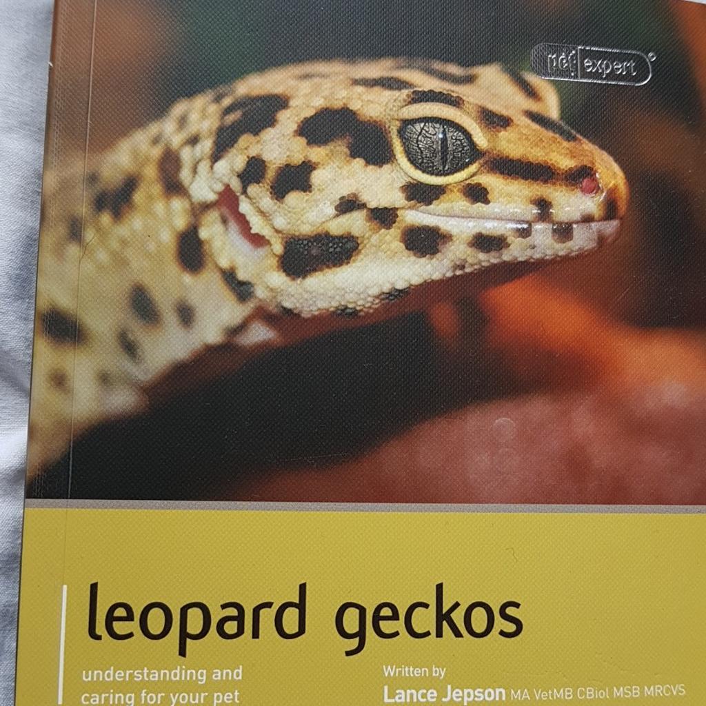 Leopard gecko book in B31 Birmingham für £ 2,50 zum Verkauf | Shpock AT