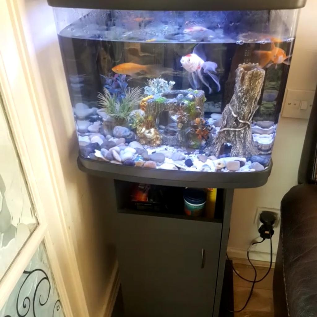 Fish tank for sale in BD3 Bradford für £ 60,00 zum Verkauf | Shpock AT