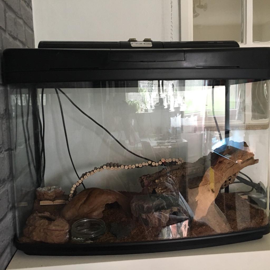 Interpet Fish Pod 64 Litre curve fronted tank in L13 Liverpool für 65 ...