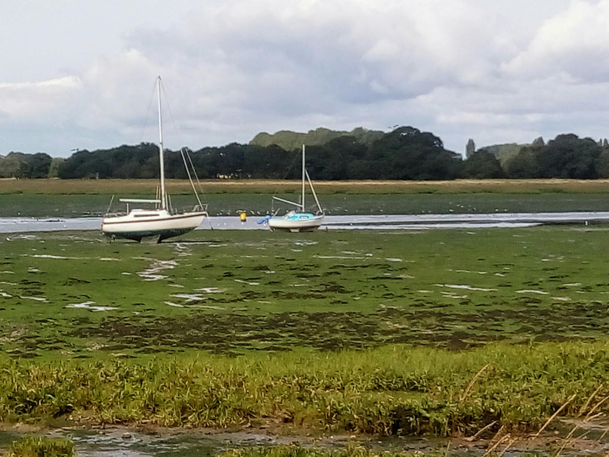 Seasafe dandy 16ft sailing yacht and trailer in PO21 Arun für £ 1.395 ...