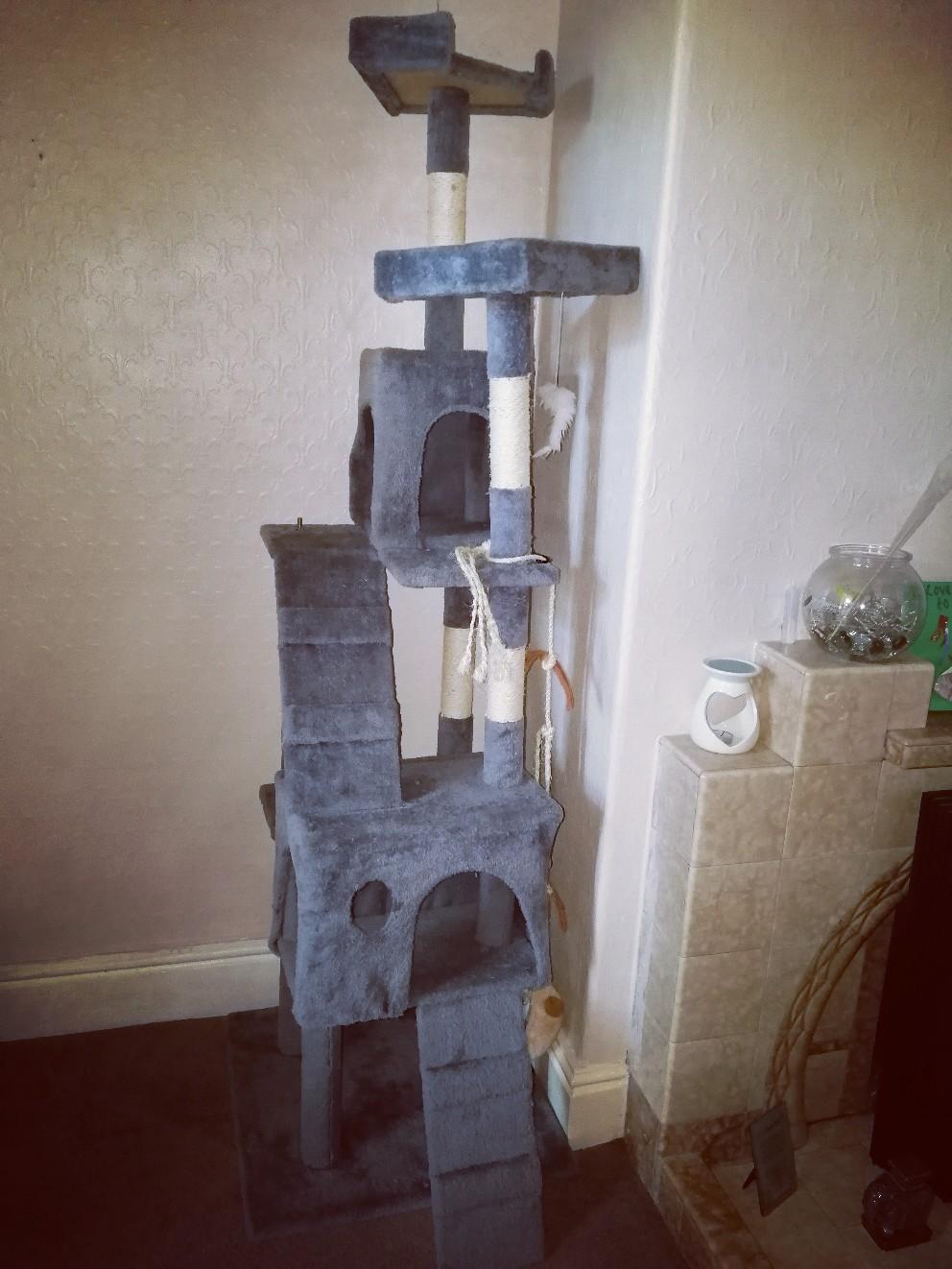 6ft cat tree in WF13 Dewsbury für £ 20,00 zum Verkauf | Shpock AT