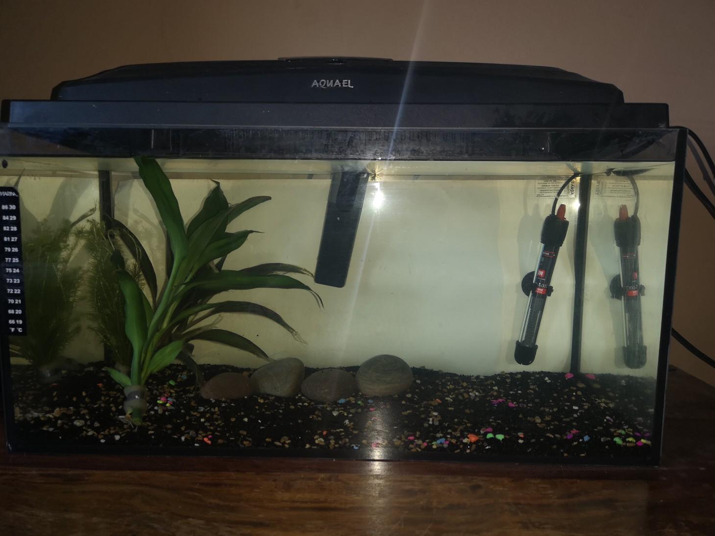 Tropical fish tank / Aquarium 55L in Sheffield für 45,00 £ zum Verkauf ...