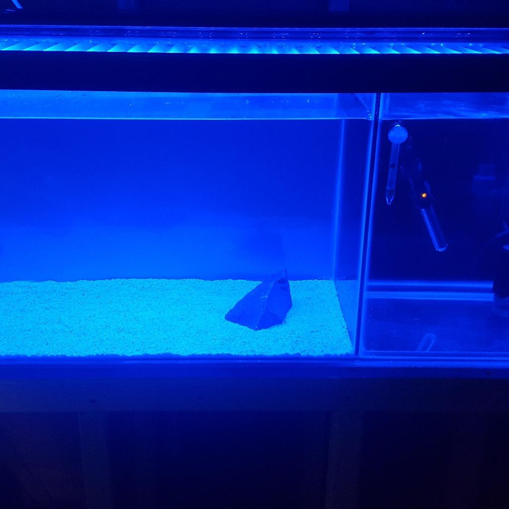 4ft breeder tank in BB1 Shadsworth for £70.00 for sale | Shpock