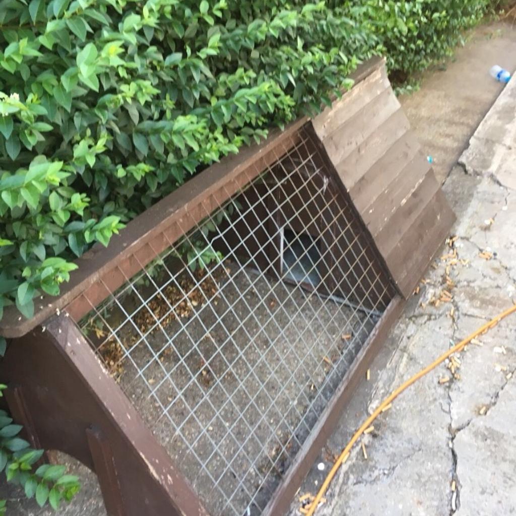 Rabbit hutch or chicken coup in NG16 Ashfield für £ 15,00 zum Verkauf ...