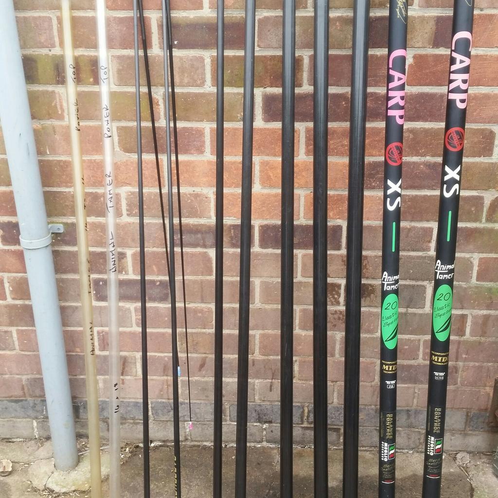 Middy animal tamer carp fishing pole in DE74 Leicestershire für 80,00 ...