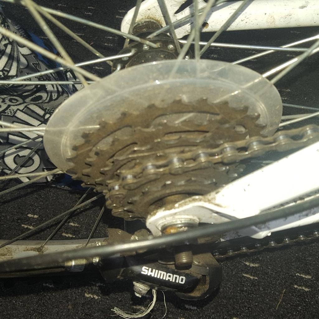 Apollo radar mountain bike in Nuneaton and Bedworth for £50.00 for sale ...