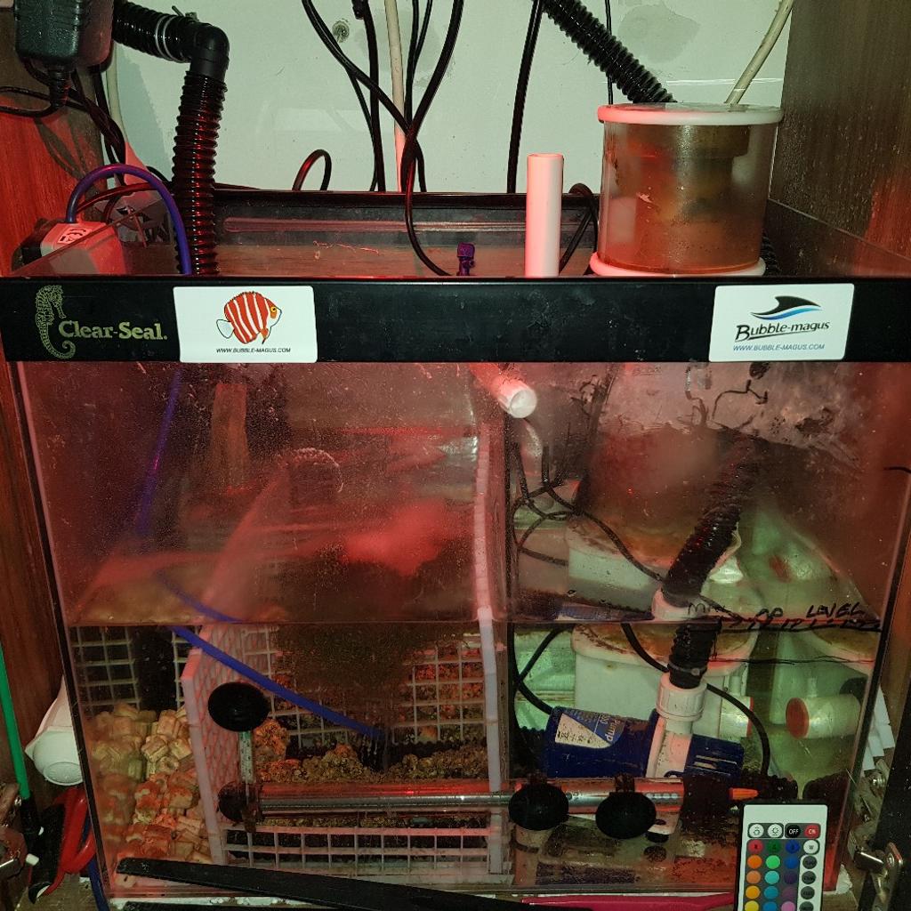 Breaking my full marine tank and stock.... in CR3 Tandridge für 150,00 ...