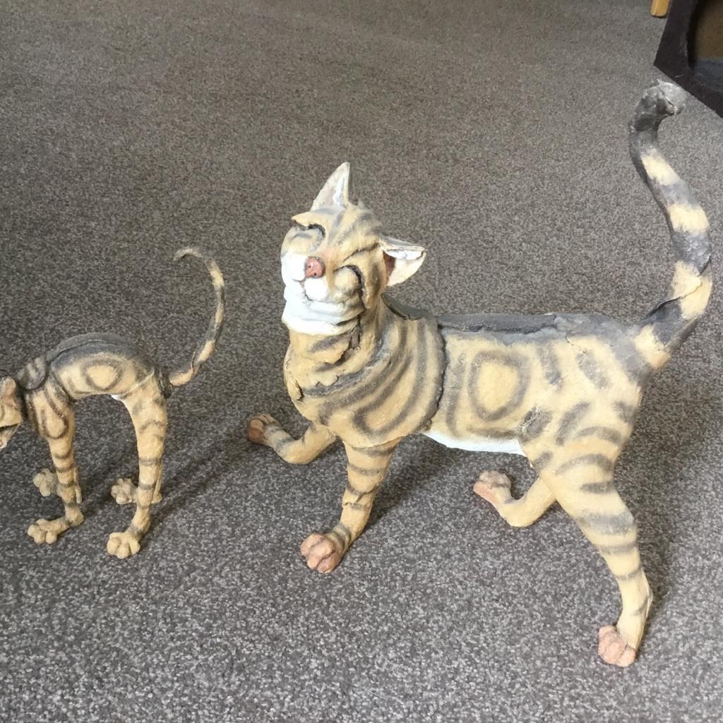 A BREED APART CATS in HD3 Kirklees für 20,00 £ zum Verkauf | Shpock DE