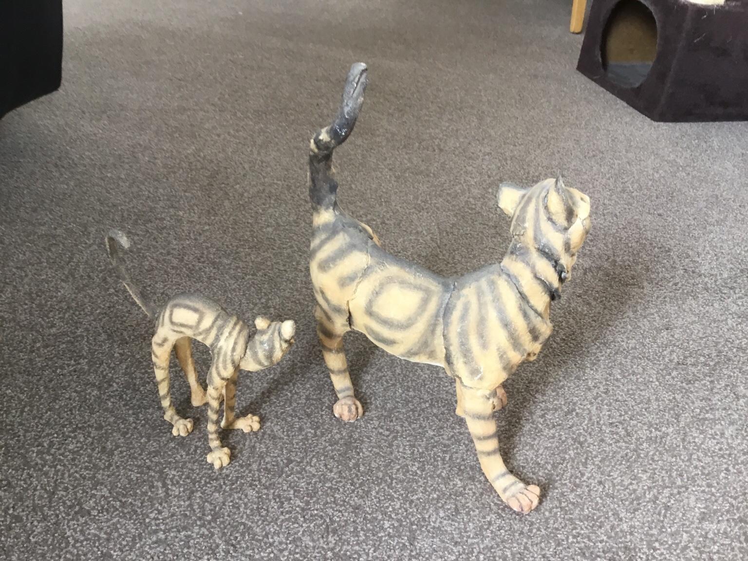 A BREED APART CATS in HD3 Kirklees für 20,00 £ zum Verkauf | Shpock DE