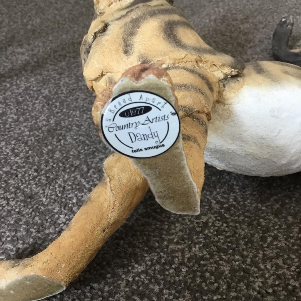 A BREED APART CATS in HD3 Kirklees für 20,00 £ zum Verkauf | Shpock DE