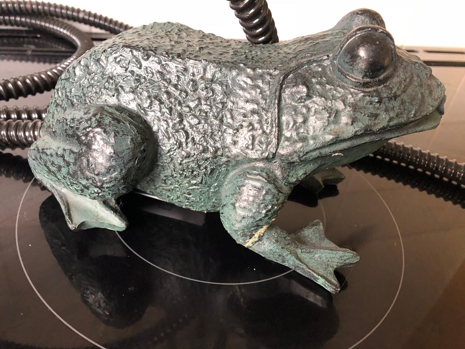 Pond frog water spitter and floating baskets in S14 Sheffield für £ 20 ...