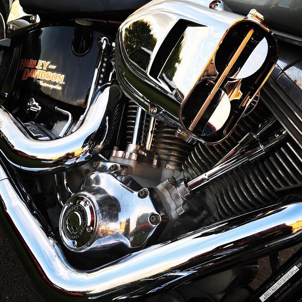 Harley Davidson FXSTI Softail Standard in S43 Chesterfield für 5.500,00 ...