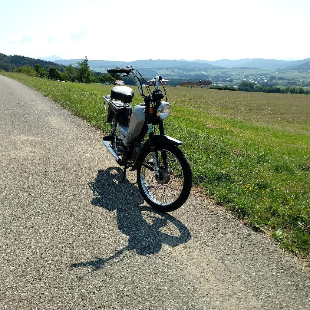 Puch MV 50 X-3 in 4880 für 900,00 € zum Verkauf | Shpock DE