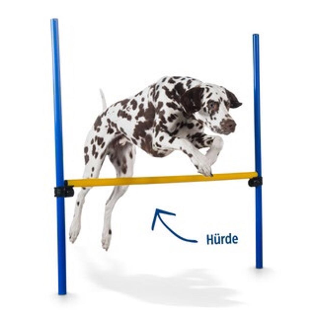 ROMEO Agility Set von HOFER in 5350 Strobl für € 55,00 zum Verkauf ...