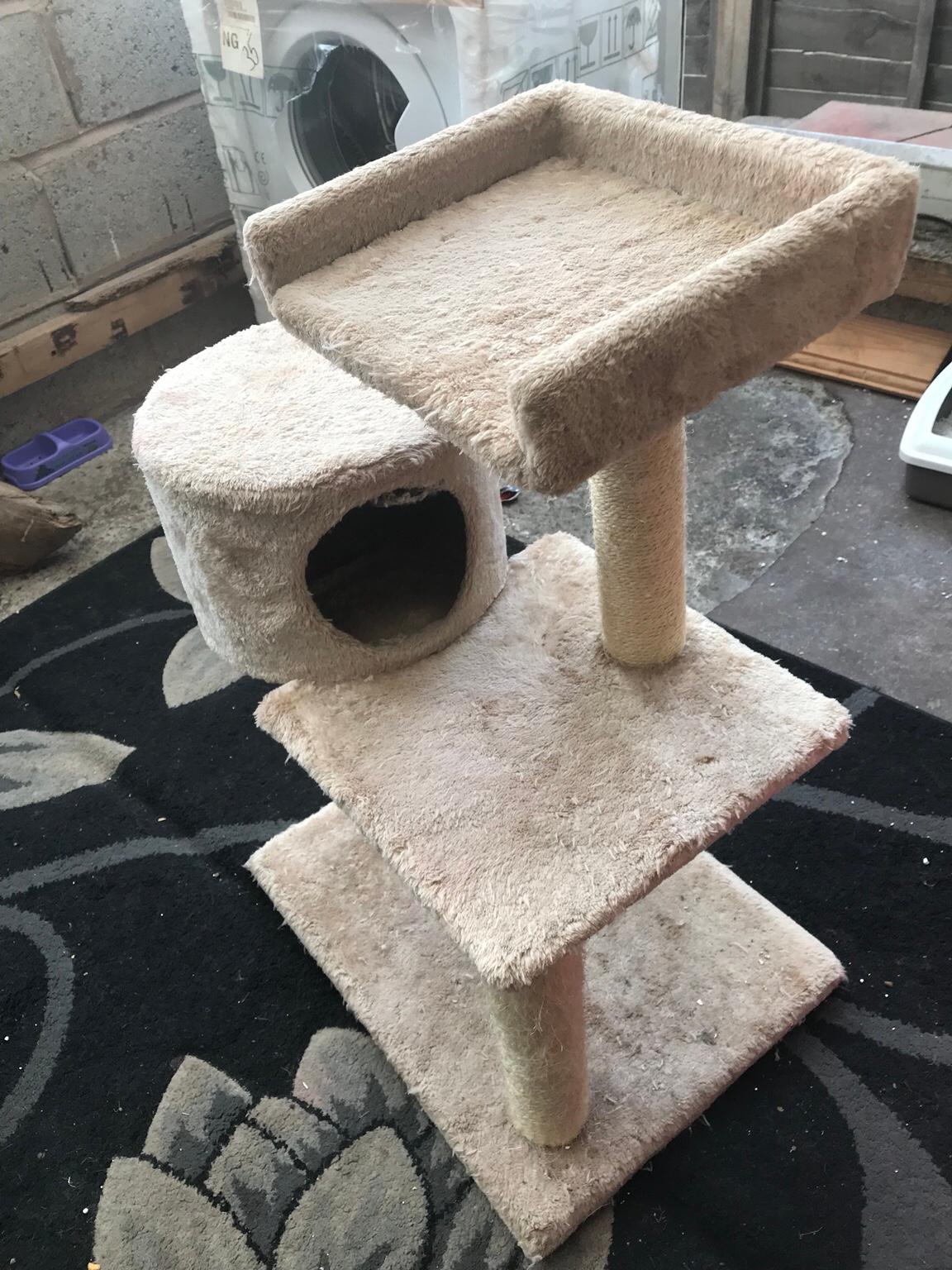 Cat tree in SE25 London für £ 25,00 zum Verkauf | Shpock AT