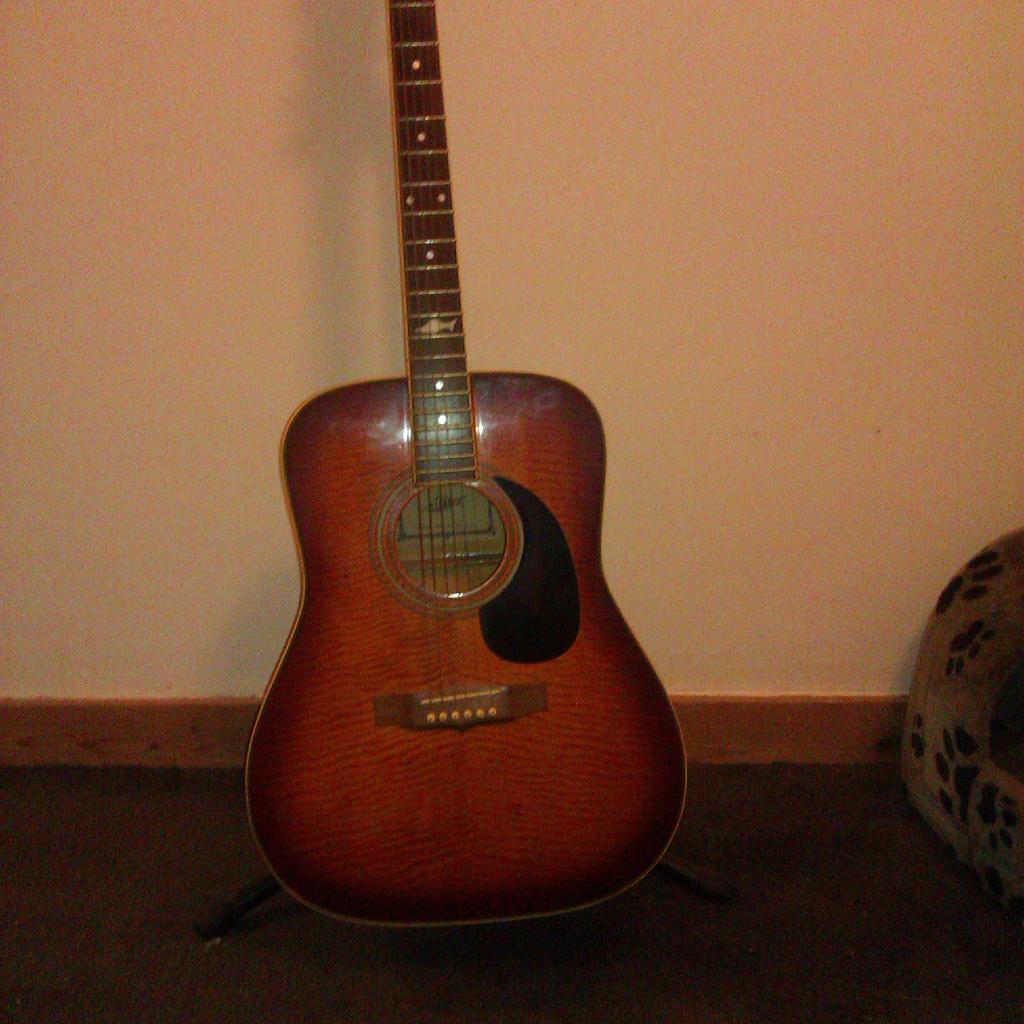 Marlin Acoustic Guitar in IP22 Diss für £ 45,00 zum Verkauf | Shpock AT
