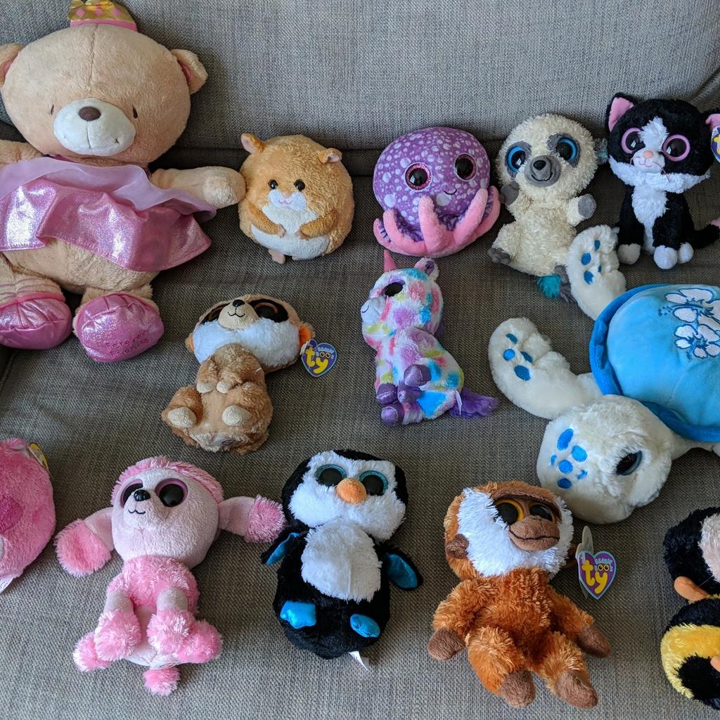 TY beanie boo assortment bundle in CO2 Colchester für £ 10,00 zum ...