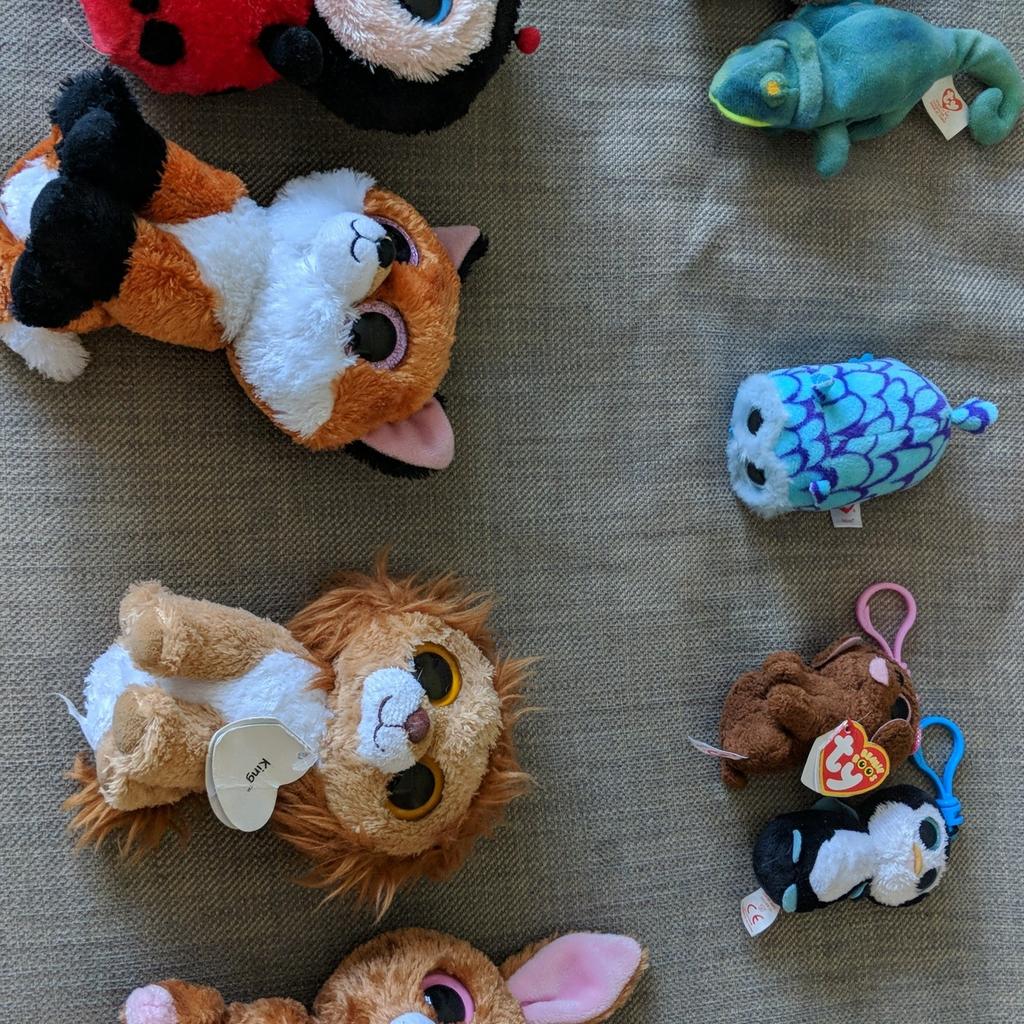 TY beanie boo assortment bundle in CO2 Colchester für £ 10,00 zum ...