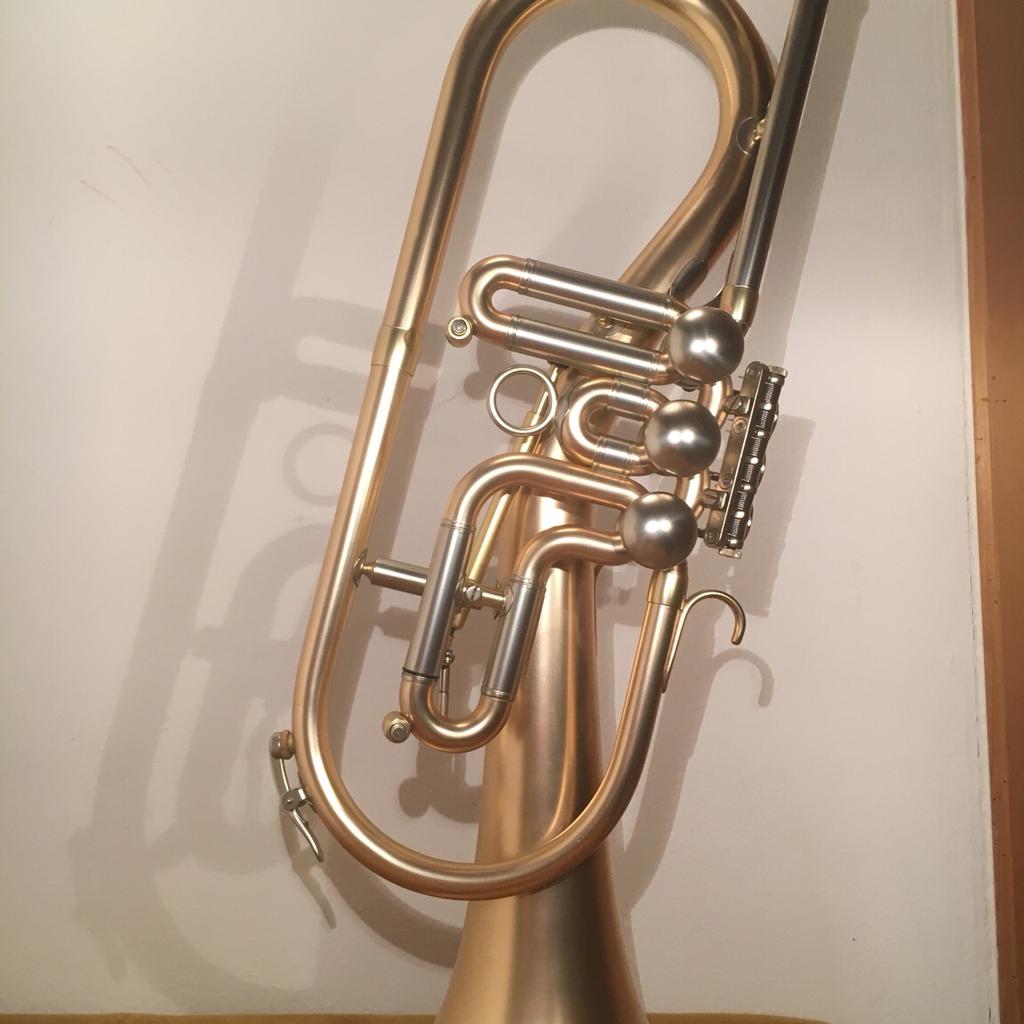 Flügelhorn, Schagerl, Killer Queen in 6886 Schoppernau für € 2.990,00 ...