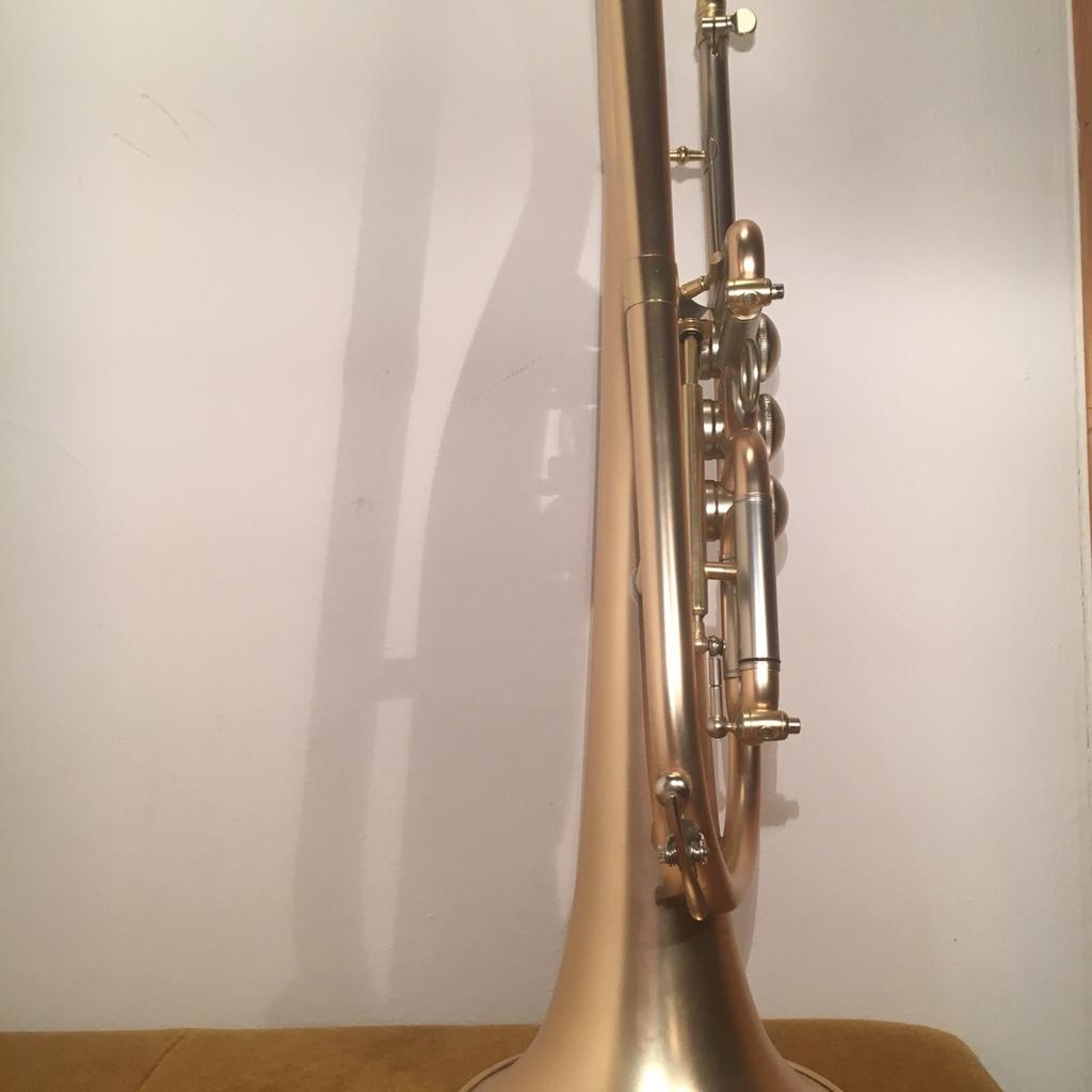 Flügelhorn, Schagerl, Killer Queen in 6886 Schoppernau für € 2.990,00 ...