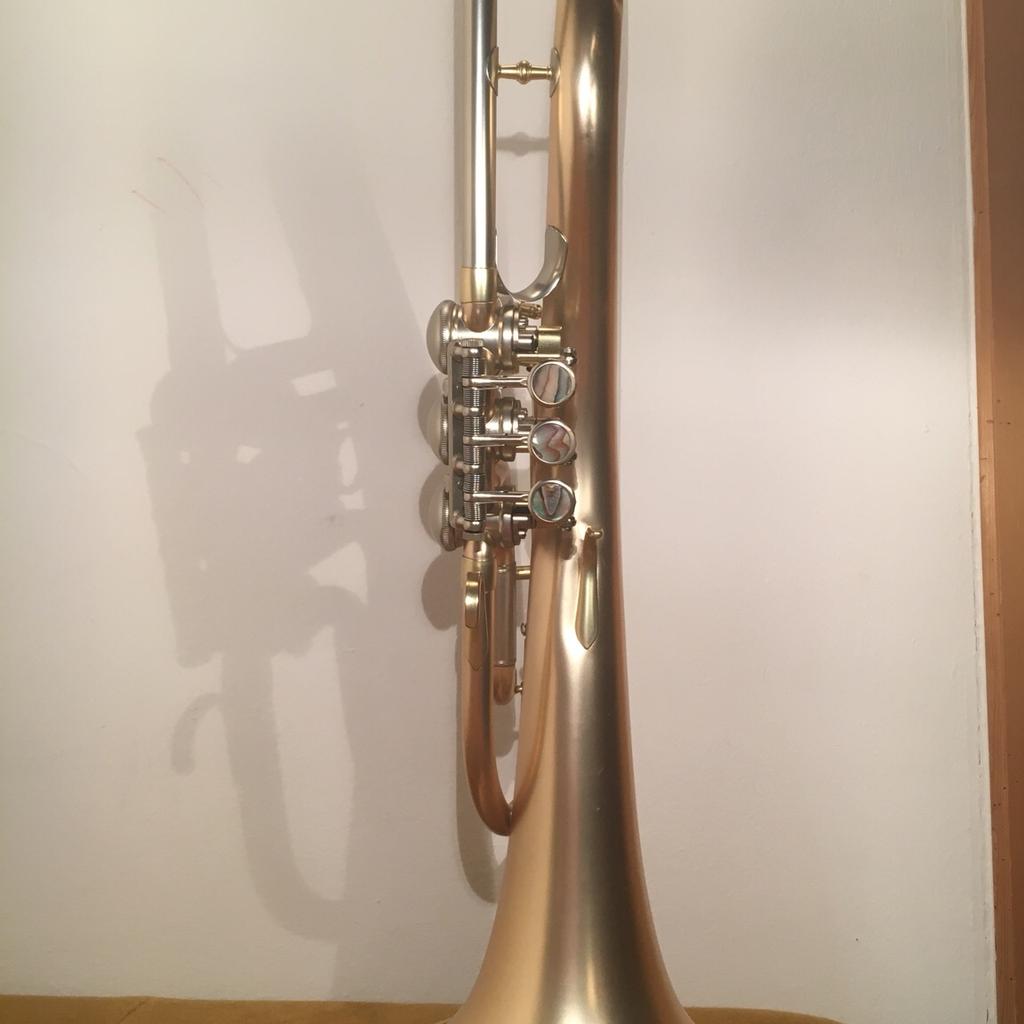 Flügelhorn, Schagerl, Killer Queen in 6886 Schoppernau für € 2.990,00 ...