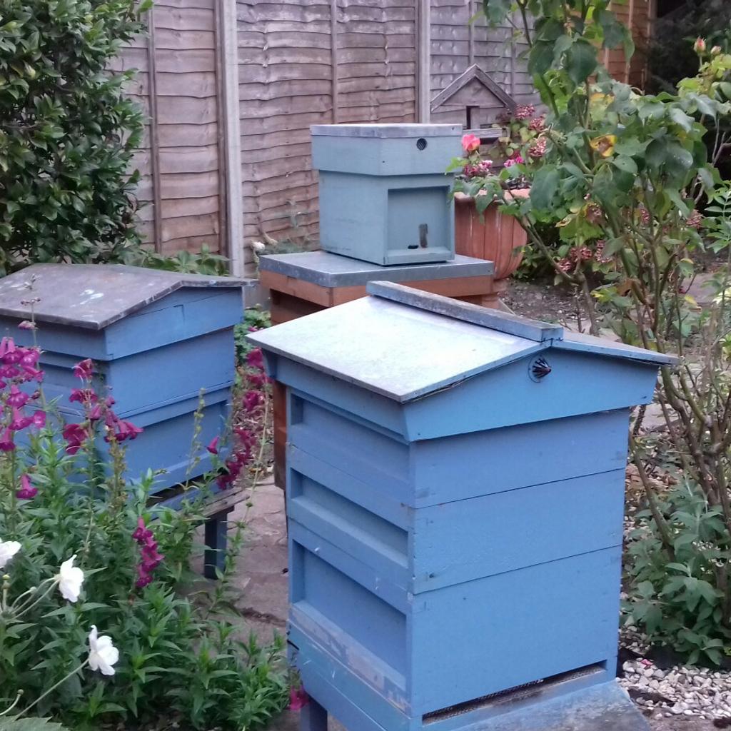 Bee hives and equipment. in CV11 Nuneaton and Bedworth für £ 300,00 zum ...