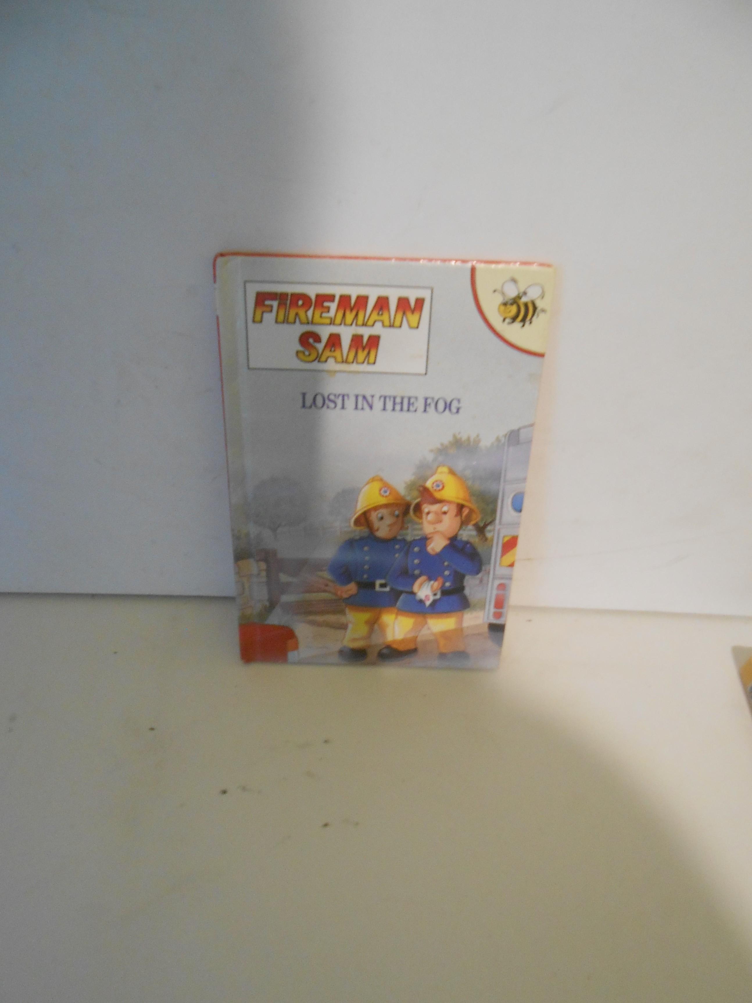 2 X Fireman Sam Books in B77 Tamworth für 4,00 £ zum Verkauf | Shpock DE