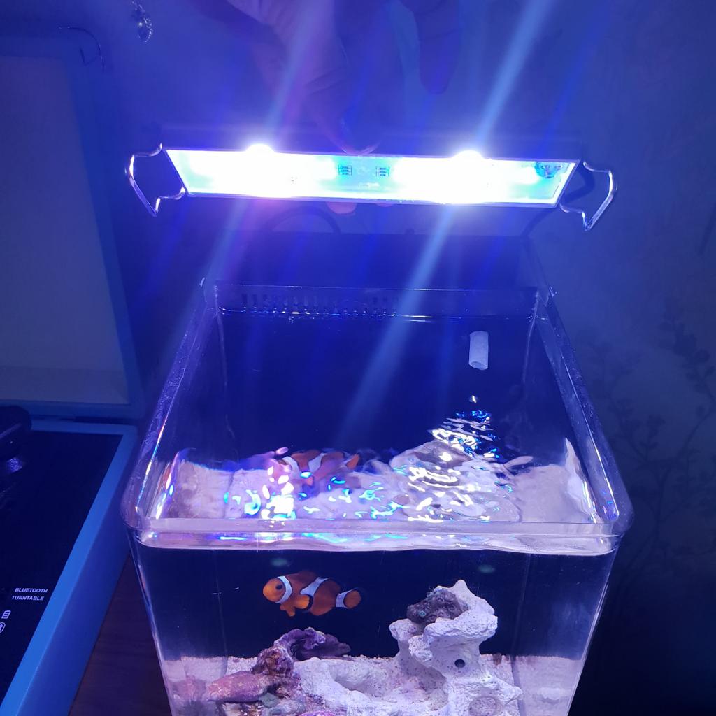 Stunning DYMAX IQ3 acrylic aquarium in Norton Green für £ 50,00 zum ...