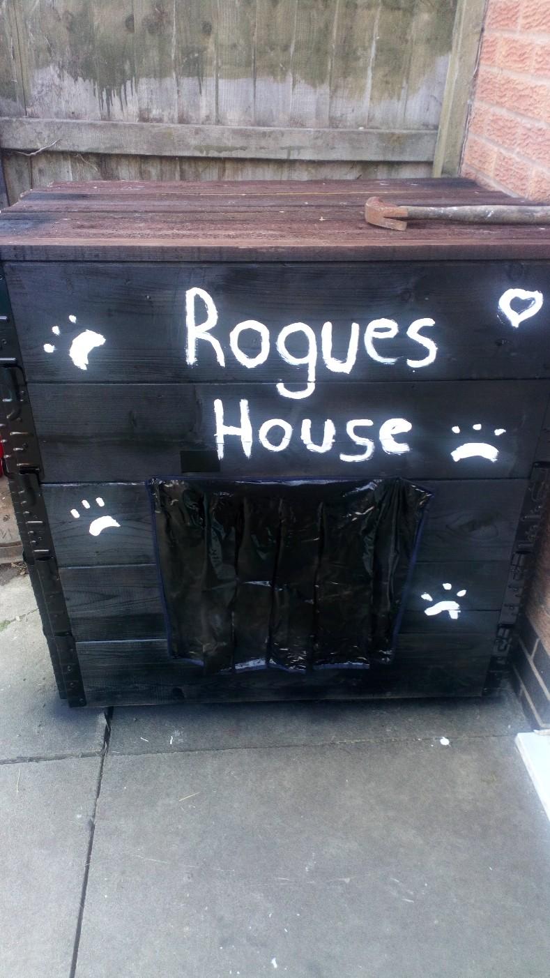 xxl whelping box in LE9 Blaby for £60.00 for sale | Shpock