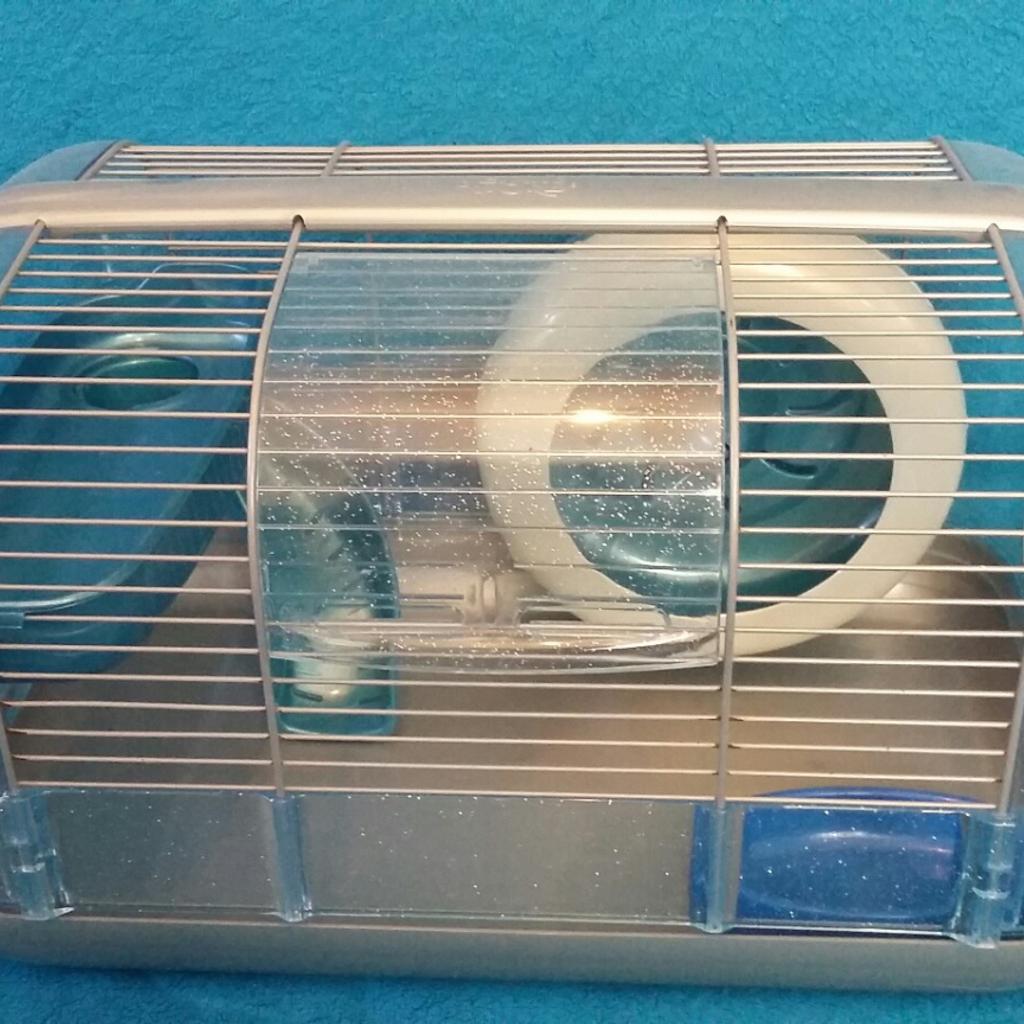 baby Syrian hamster with cage in E20 Newham for £15.00 for sale | Shpock