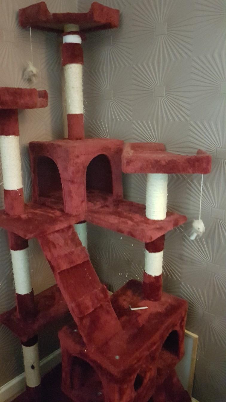 6 foot cat tree in CF Cardiff für £ 50,00 zum Verkauf | Shpock AT