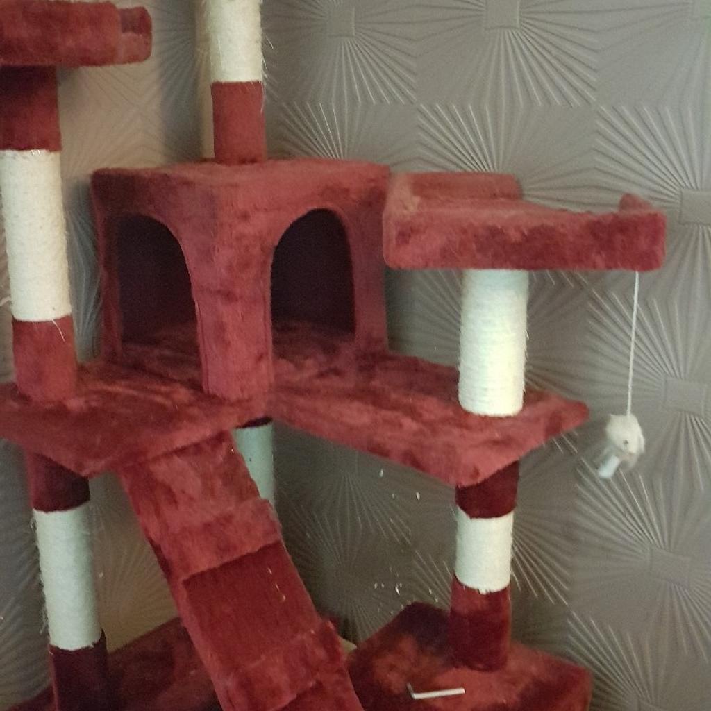 6 foot cat tree in CF Cardiff für £ 50,00 zum Verkauf | Shpock AT