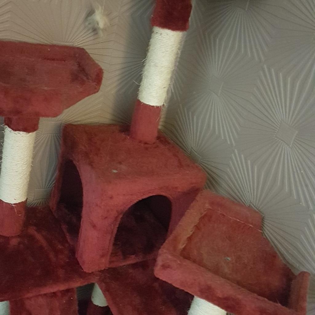 6 foot cat tree in CF Cardiff für £ 50,00 zum Verkauf | Shpock AT