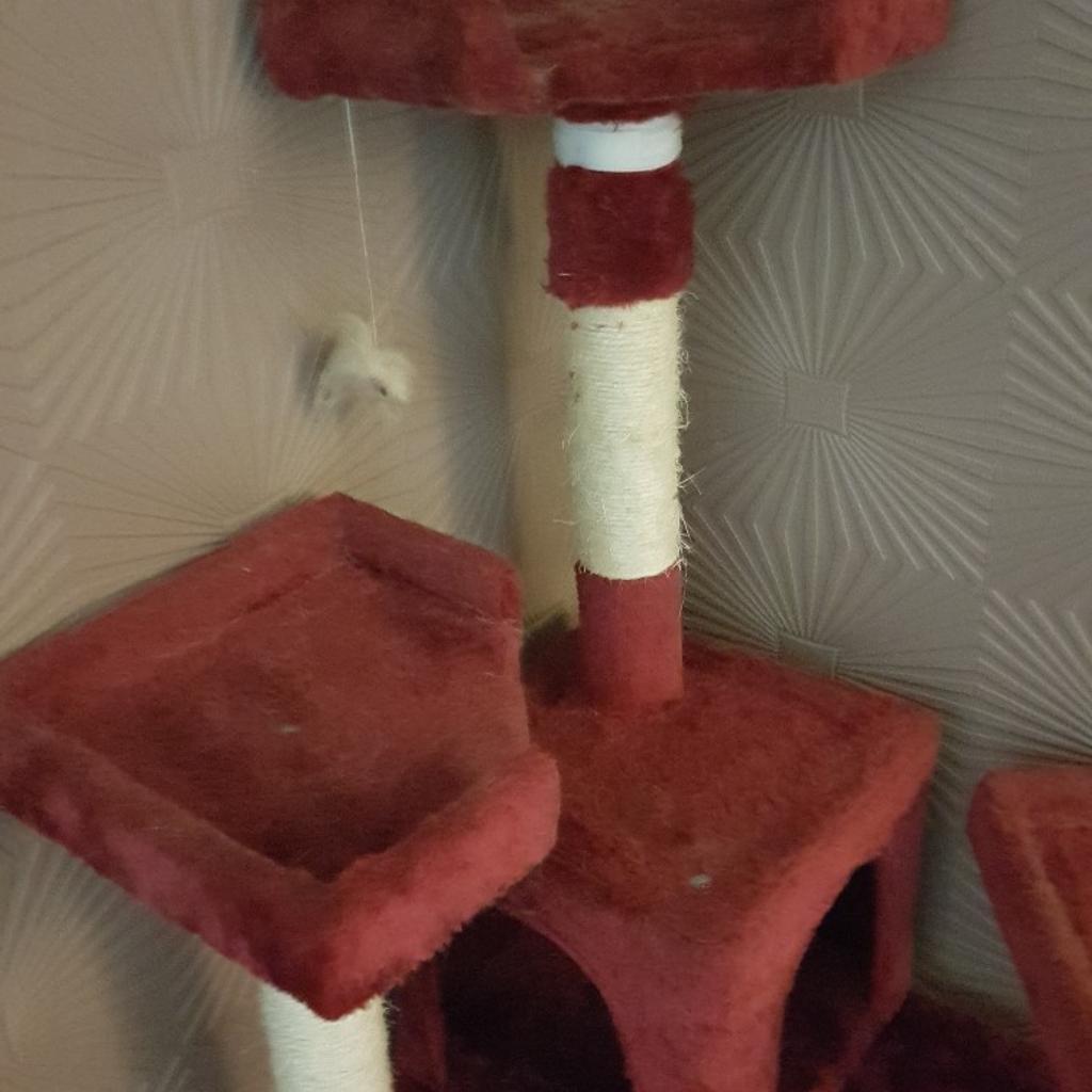 6 foot cat tree in CF Cardiff für £ 50,00 zum Verkauf | Shpock AT