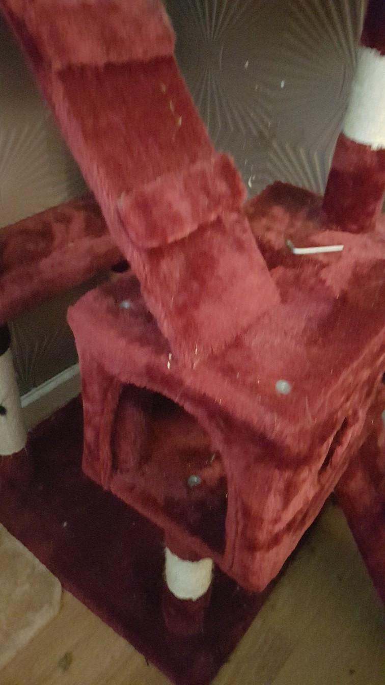 6 foot cat tree in CF Cardiff für £ 50,00 zum Verkauf | Shpock AT