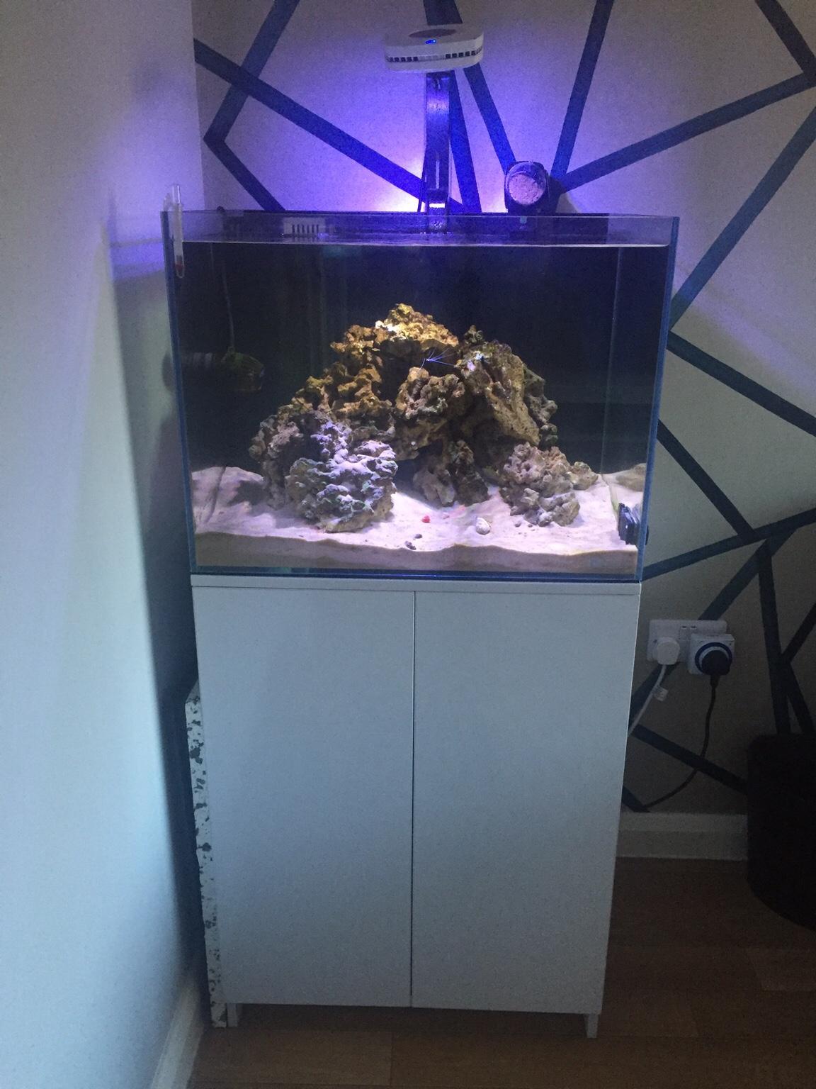 Marine tank setup in NN17 Corby für 200,00 £ zum Verkauf | Shpock DE