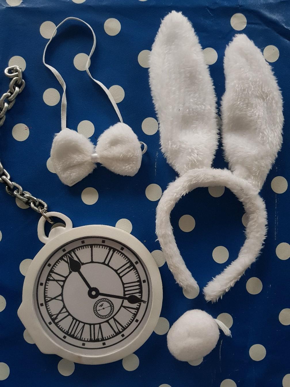 White Rabbit accessories dressing up items in Culcheth for £3.00 for ...