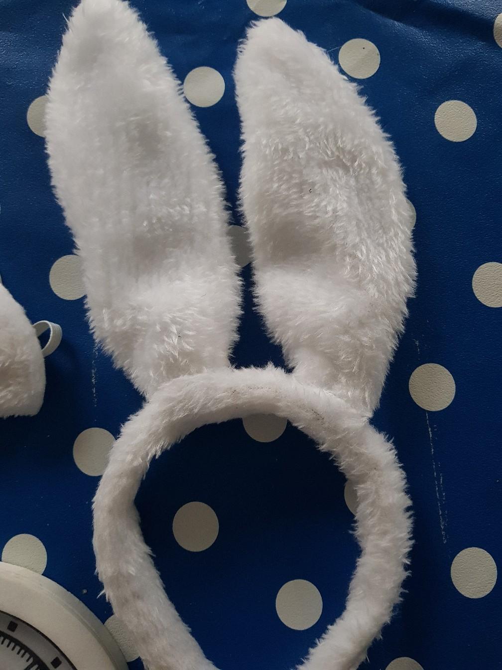 White Rabbit accessories dressing up items in Culcheth for £3.00 for ...