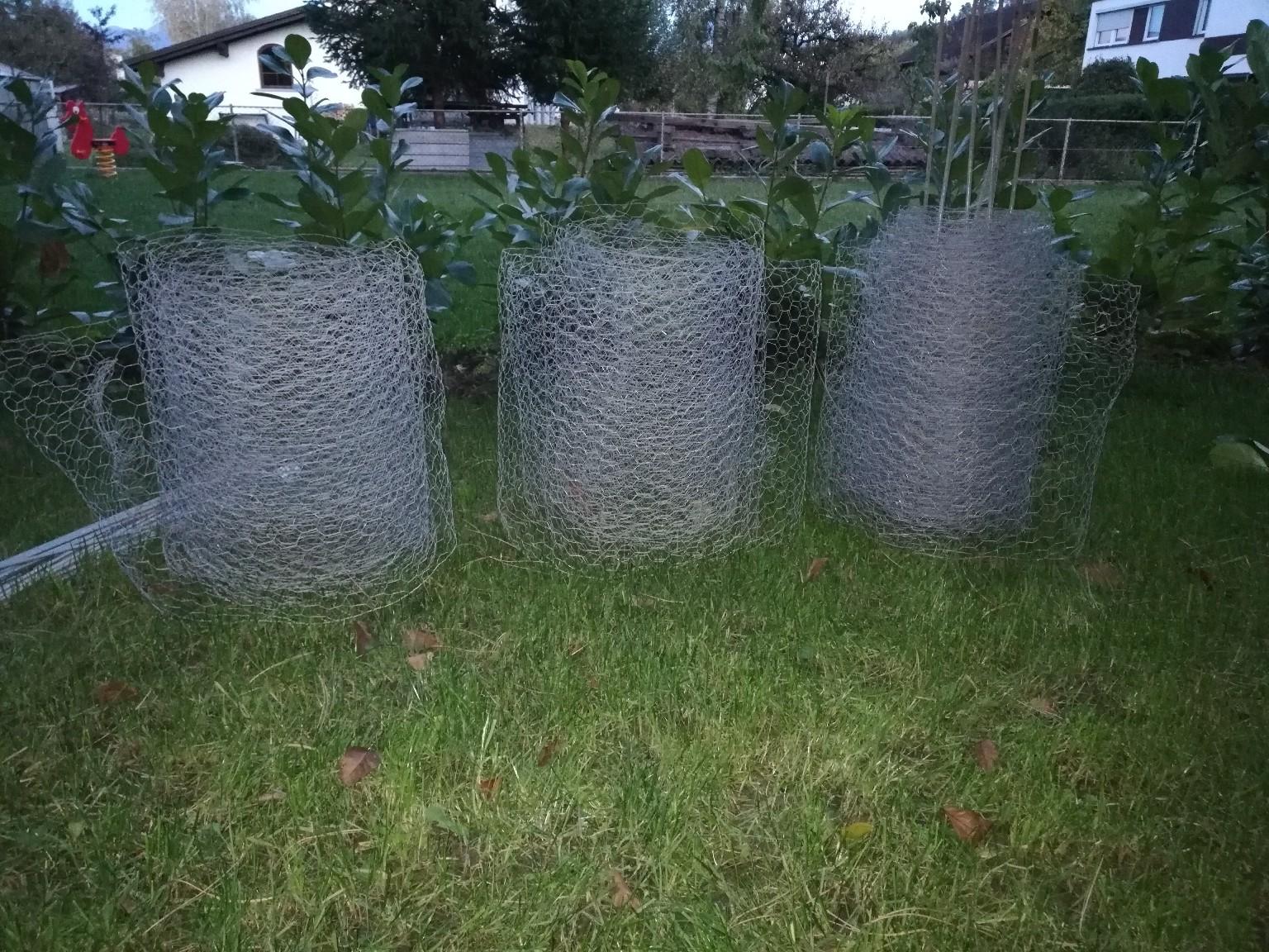 Zaun - 40 m - 6 Eck. Geflecht verzinkt in 6800 Feldkirch für 15,00 € zum Verkauf | Shpock DE