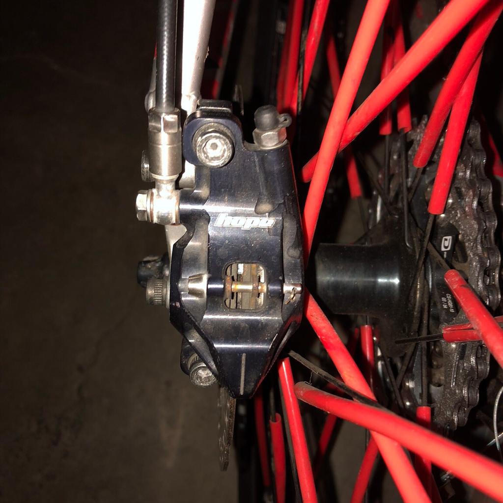 Carrera hellcat CUSTOM in N16 Hackney für £ 280,00 zum Verkauf | Shpock AT