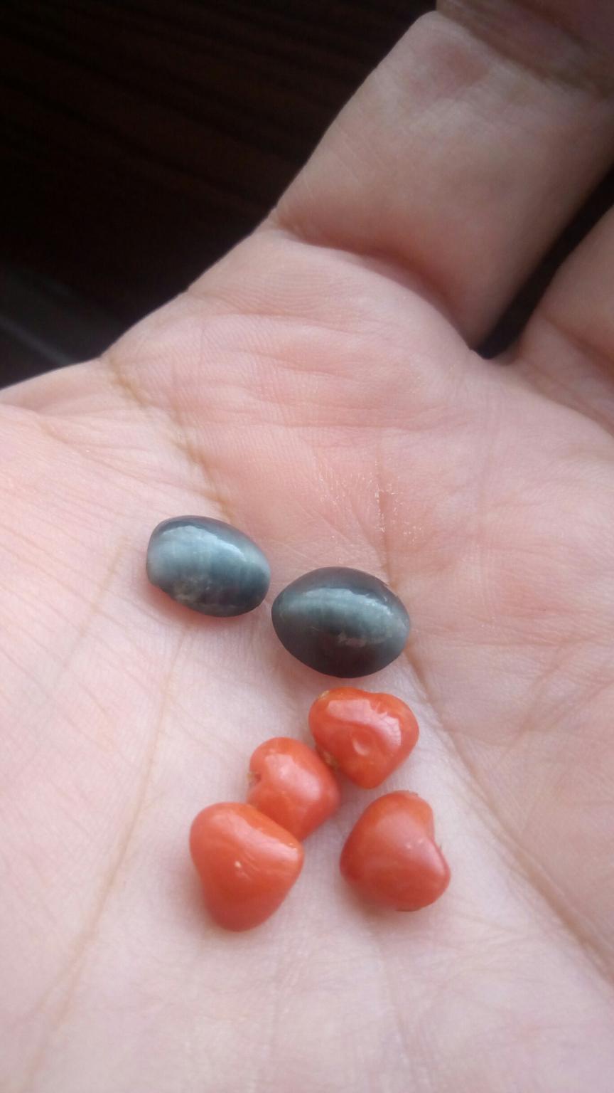 Lotto pietre naturali in 00065 Fiano Romano für 35,00 € zum Verkauf ...