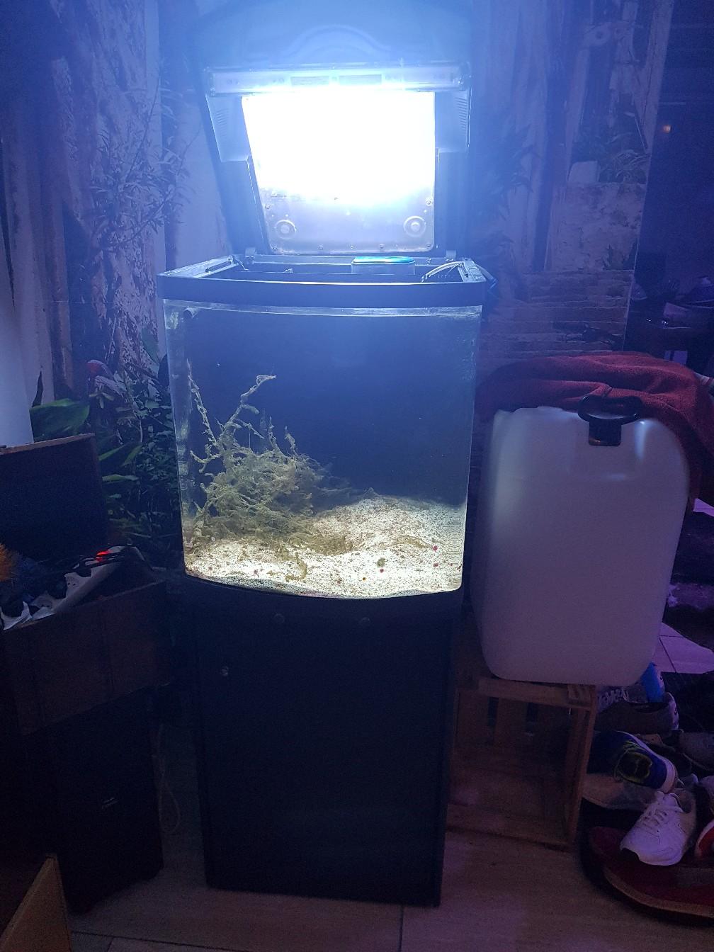 Meerwasser Aquarium Sera Marin Cube 130 in 8426 Lufingen für € 220,00 zum Verkauf | Shpock AT
