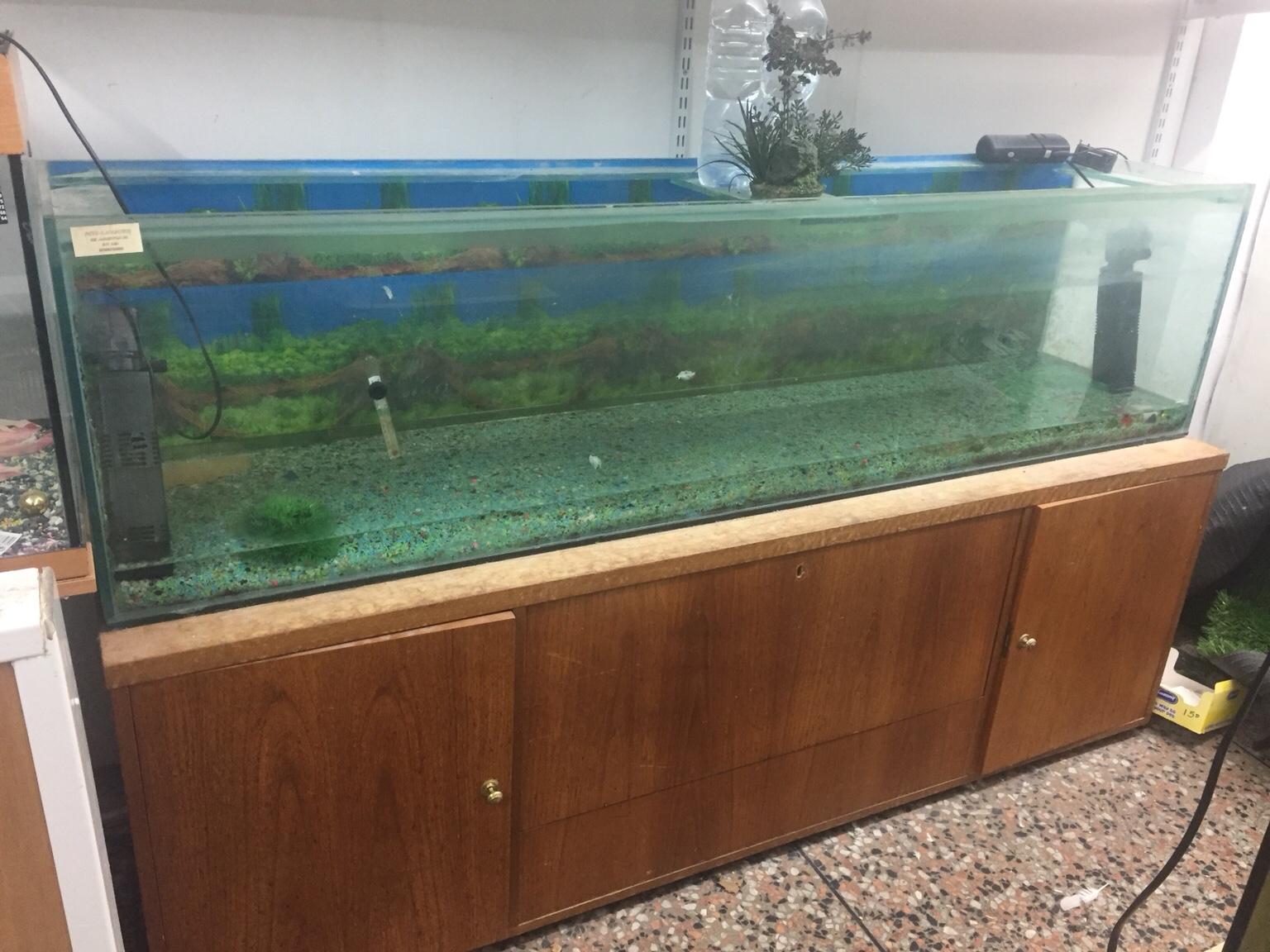 6ft fish tank in B11 Birmingham for £150.00 for sale | Shpock