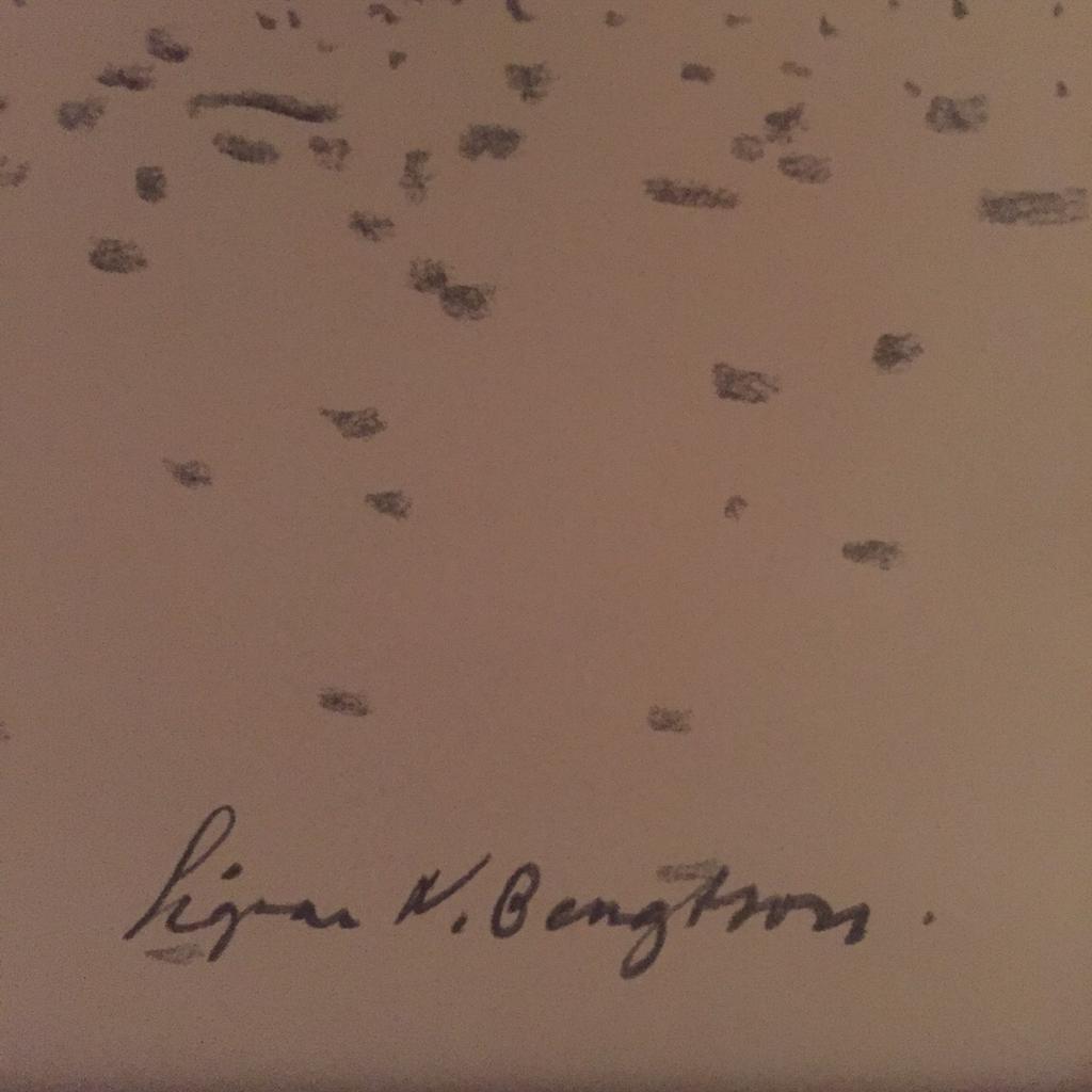 Tavla Signar N Bengtsson in Perstorp for SEK 135.00 for sale | Shpock